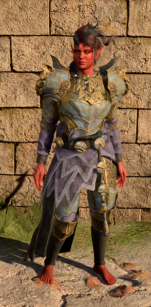 File:Blackguard's Plate in game female.png - bg3.wiki