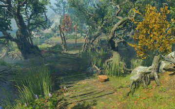 List of locations - bg3.wiki