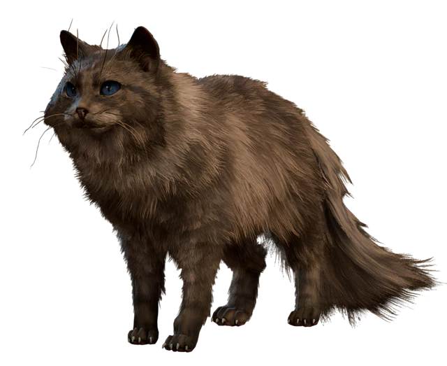Conjured Cat - bg3.wiki