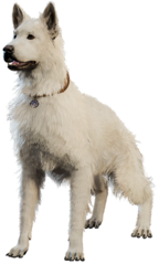 Creatures in Baldur's Gate 3 - bg3.wiki