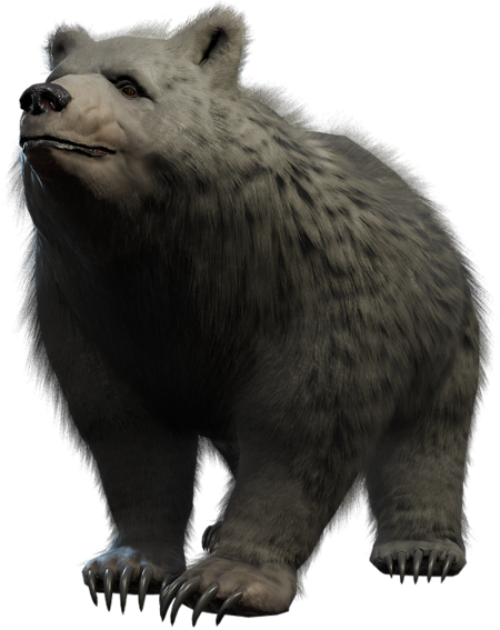 Bear - bg3.wiki