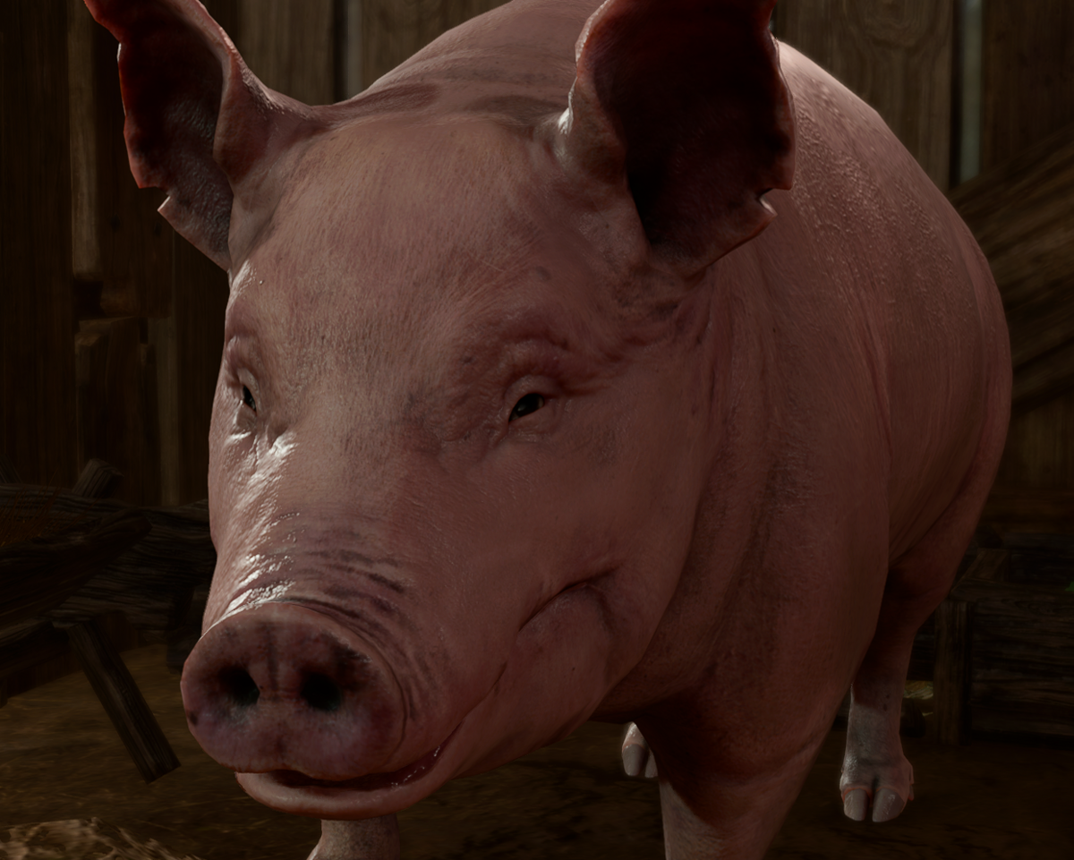 Pig - bg3.wiki