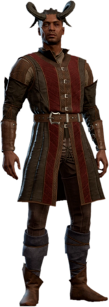 Wyll - Baldur's Gate 3 Wiki
