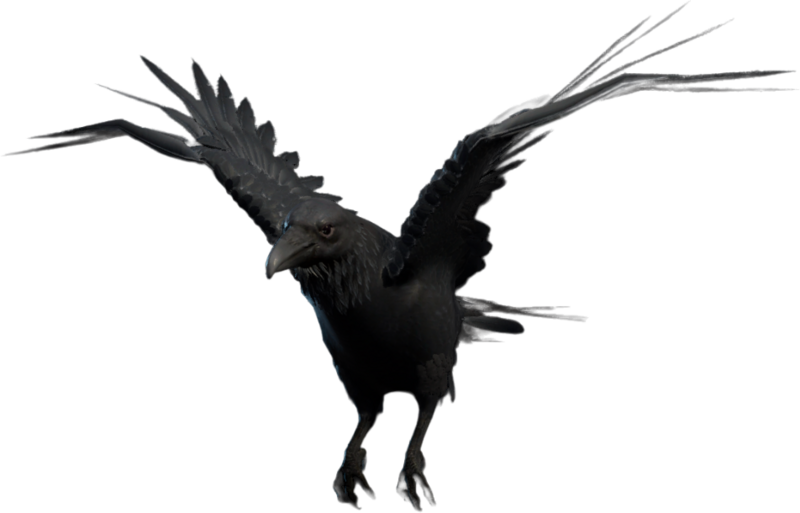 Corvus - bg3.wiki