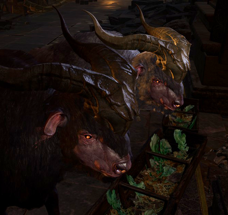 Deep Rothé - Baldur's Gate 3 Wiki