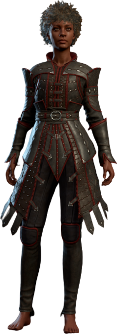 Bhaalist Armour - bg3.wiki