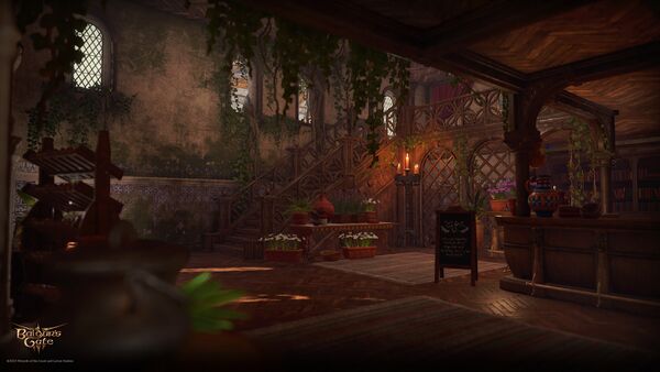 Bonecloak's Apothecary - bg3.wiki