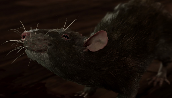 Ratin Sesescor - bg3.wiki