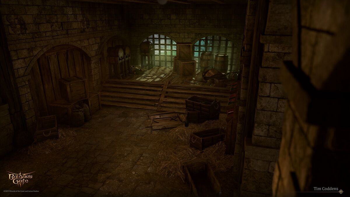Last Light Inn - Cellar - bg3.wiki