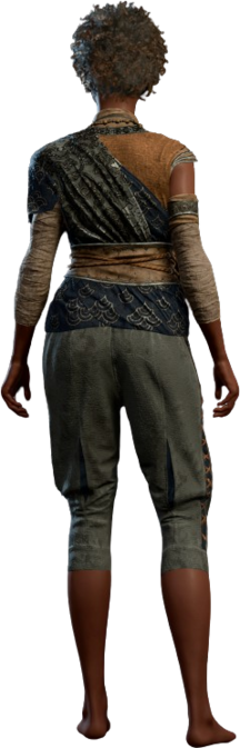 Garb of the Land and Sky - bg3.wiki