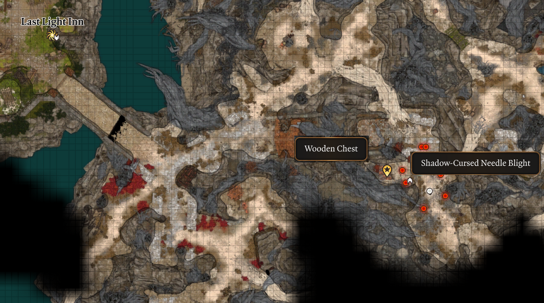 Shadow-Cursed Needle Blight - bg3.wiki