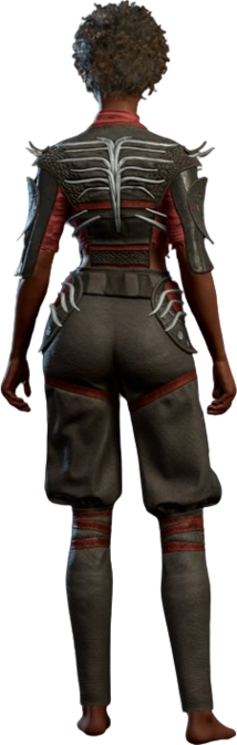 The Graceful Cloth - bg3.wiki