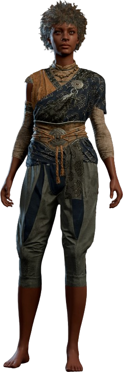 Garb of the Land and Sky - bg3.wiki