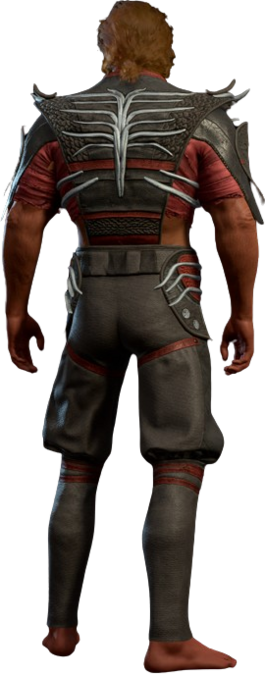 The Graceful Cloth - bg3.wiki