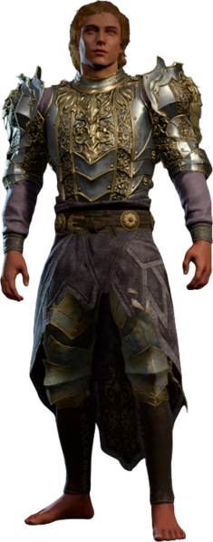 File:Blackguard's Plate High Elf Front Model.webp - bg3.wiki