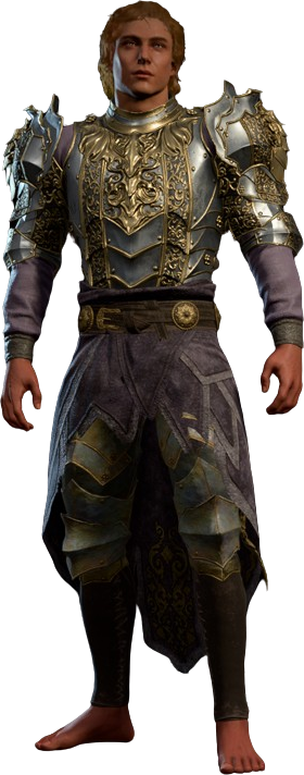 File:Blackguard's Plate High Elf Front Model.webp - bg3.wiki