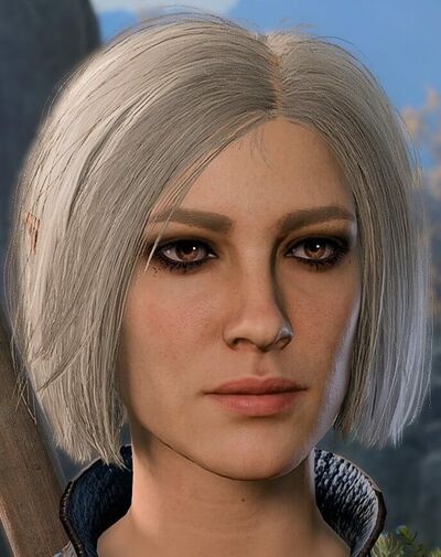 Half-Elf - Baldur's Gate 3 Wiki