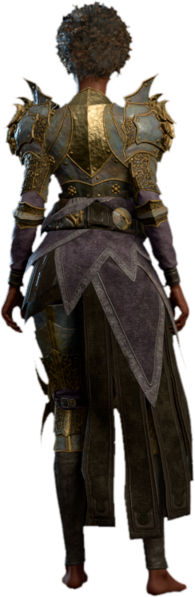 File:Blackguard's Plate Human Back Model.webp - bg3.wiki