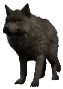 Wolf - bg3.wiki
