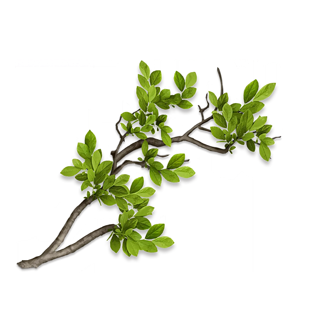 File:Sticker Env Branch B.webp - bg3.wiki