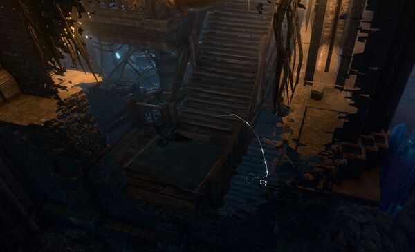 Help Omeluum Investigate the Parasite - Baldur's Gate 3 Wiki