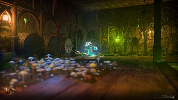 The Blushing Mermaid - Basement - bg3.wiki