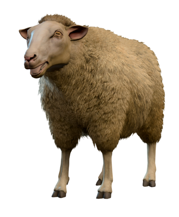 Sheep - bg3.wiki