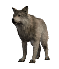 Beast Master - bg3.wiki