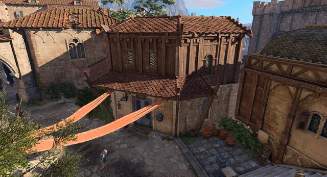 The Bibliophile - bg3.wiki