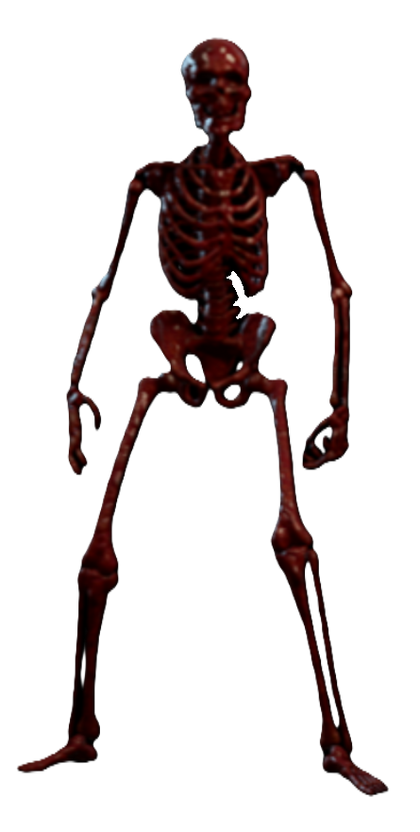 Bloodmarrow Skeleton - Baldur's Gate 3 Wiki