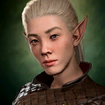 Lady Durinbold's Attendant - bg3.wiki