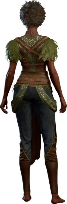 Druid Leather Armour - bg3.wiki