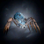 Phase Spider Matriarch - bg3.wiki
