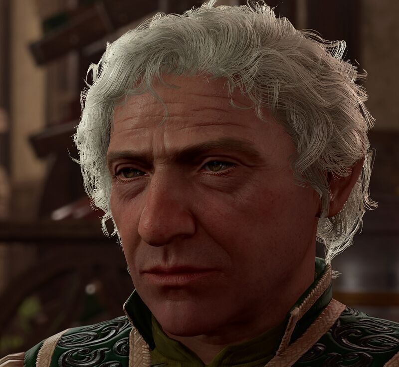 Roger Highberry - bg3.wiki