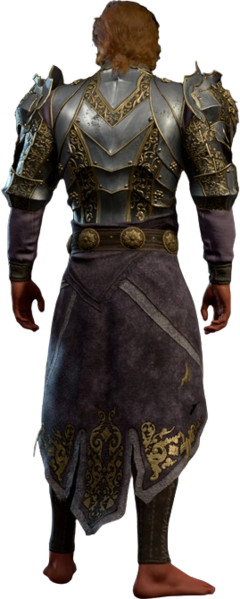 File:Blackguard's Plate High Elf Back Model.webp - bg3.wiki