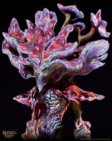 Sovereign Spaw - bg3.wiki