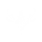 Races - bg3.wiki