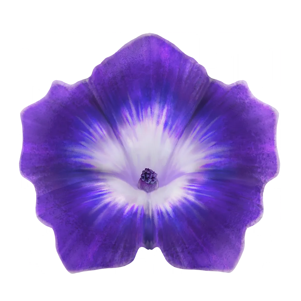 File:Sticker Env Flower Balsam A.webp - bg3.wiki