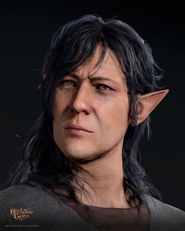 Arnell Hallowleaf - bg3.wiki