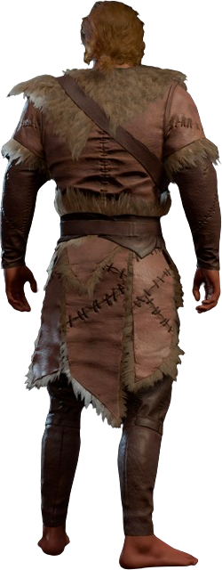 Barkskin Armour - bg3.wiki