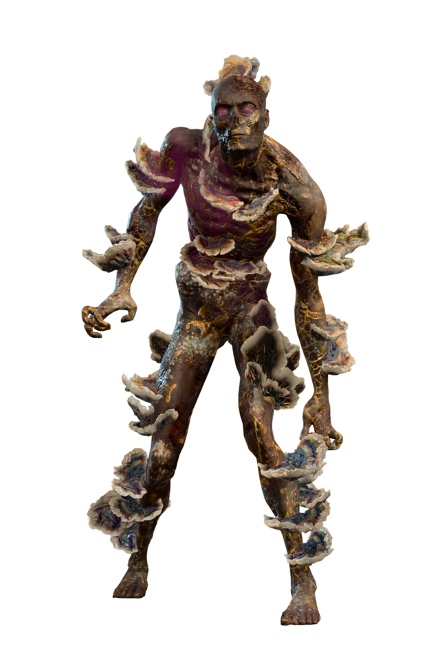 Fungal Zombie - bg3.wiki